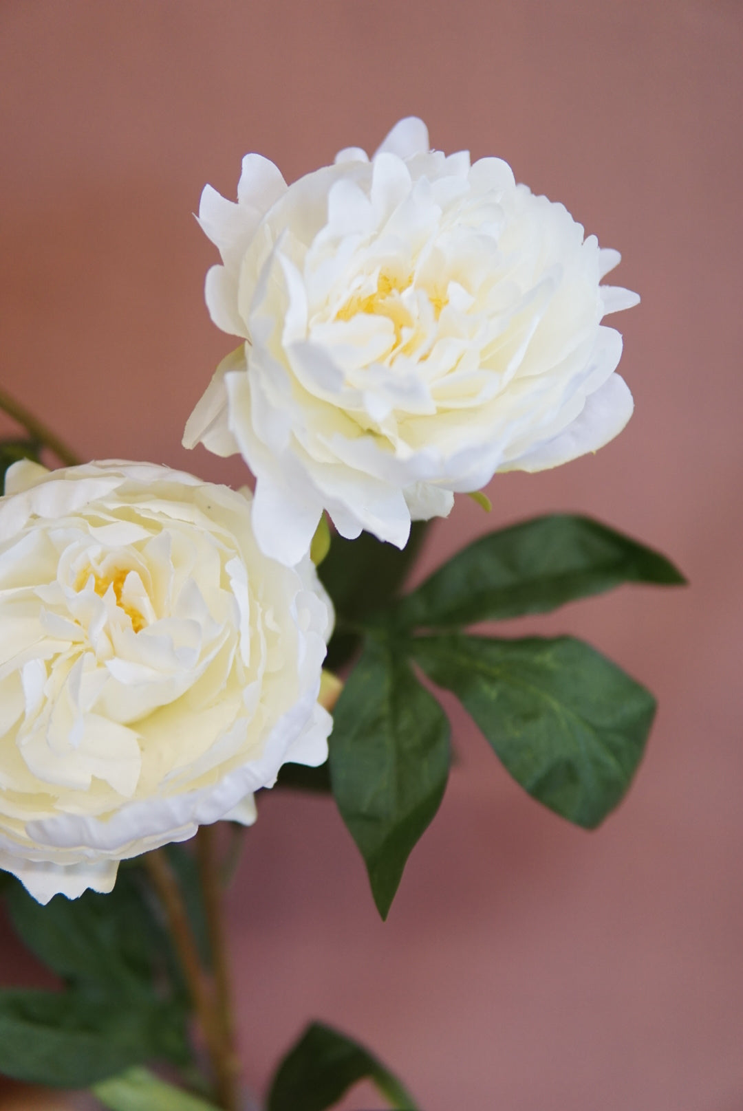 Faux Peony Stem – Beaudry Flowers